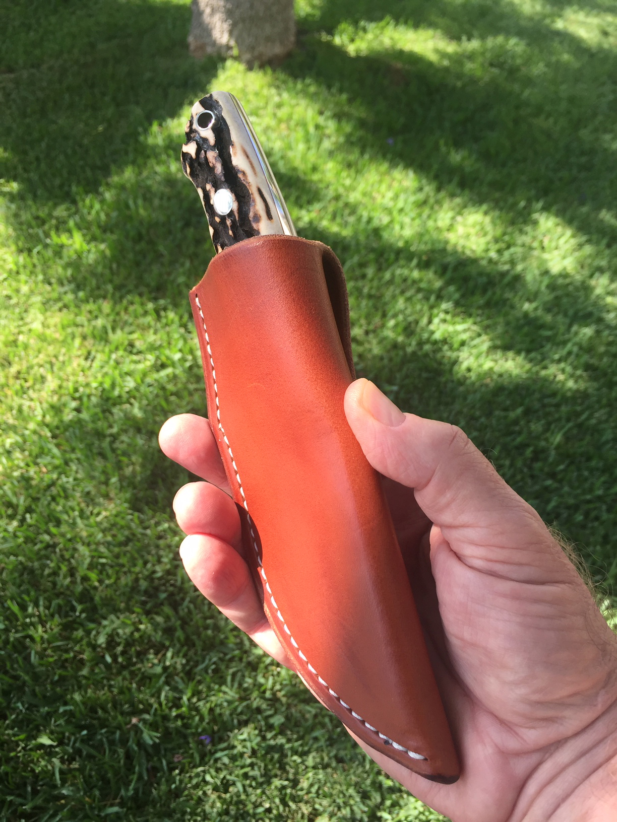 John Young 3/4 Chute Knife In Premium Stag - Steel Addiction Knives